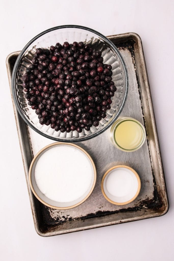 Wild Maine Blueberry Jam - The Reader's Kitchen